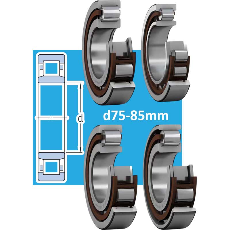 Ổ đũa một dãy không có vòng cách d75-85mm SKF N 217 ECM/C3 - baa.vn