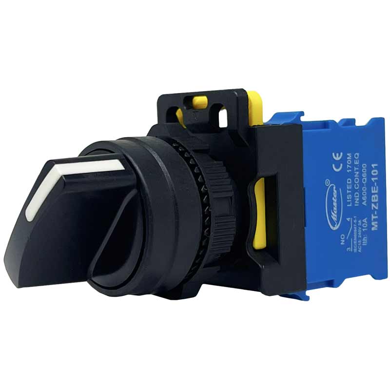 Công tắc xoay thông thường MASTER MT-SW2P-A21 - baa.vn